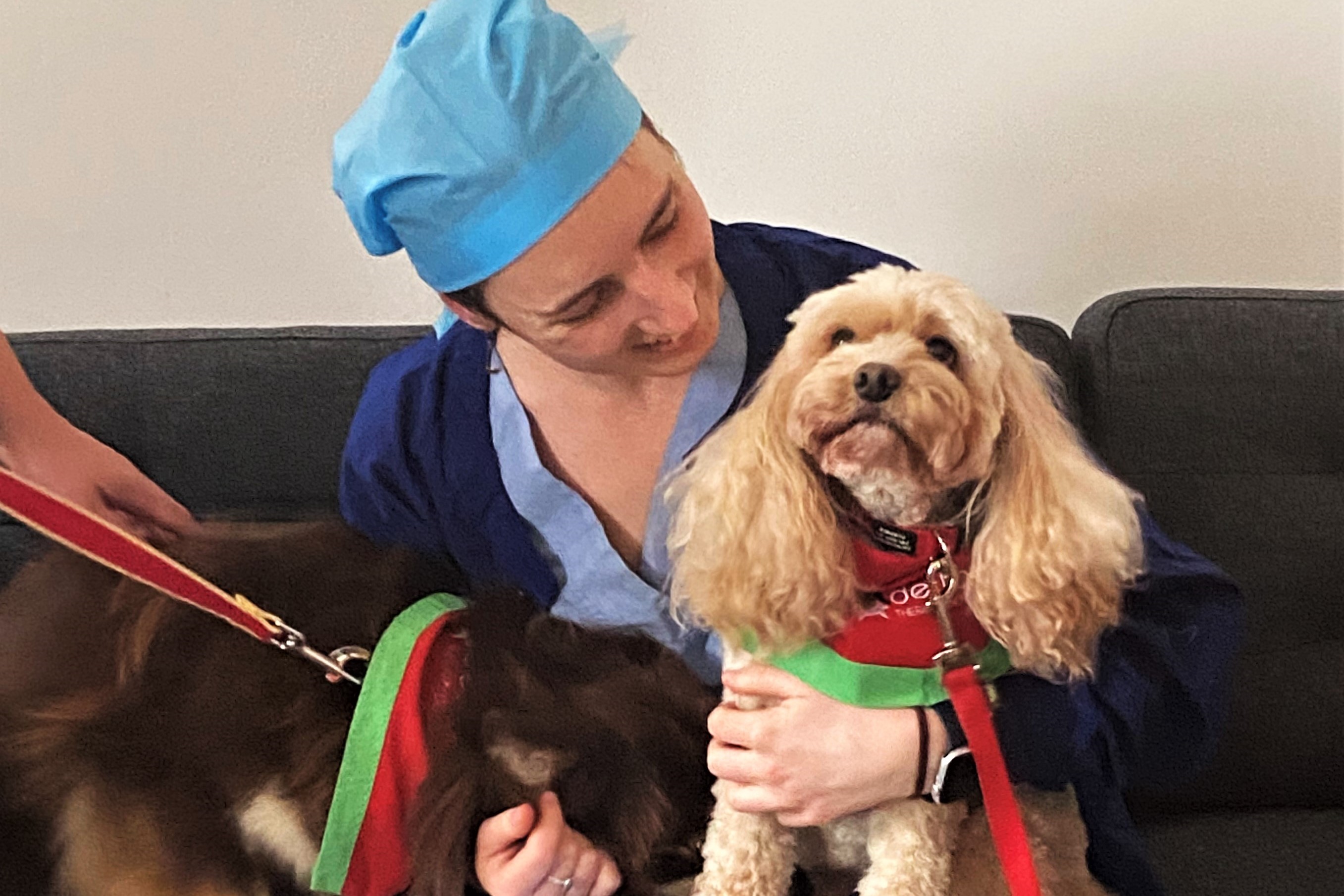 Basic Physician Training - St Vincent's Hospital Sydney